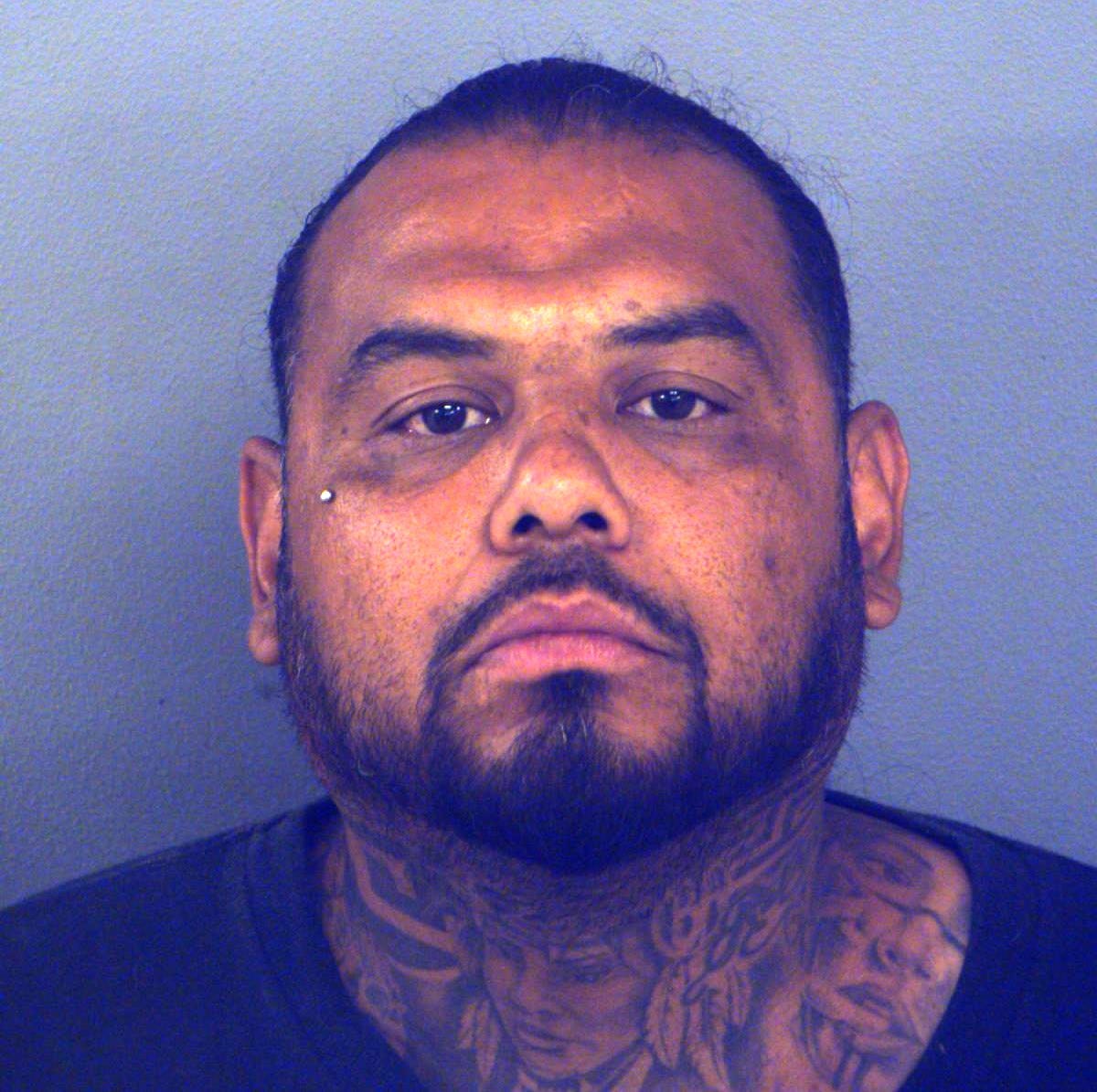 El Paso County man arrested, 35 dogs, cats and pigs removed from home