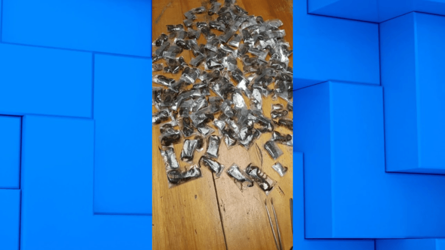 Man arrested after 150 live venomous scorpions found in luggage
