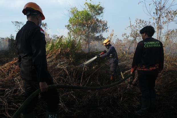 Karhutla meluas 8 kali lipat dalam setahun, BRIN buka opsi pembakaran ...