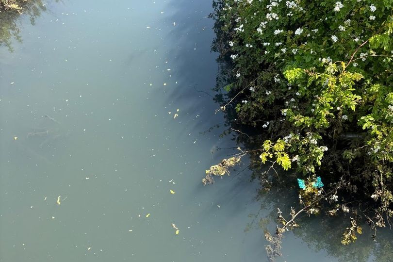 Investigation launched after foul-smelling sewage enters Welsh river