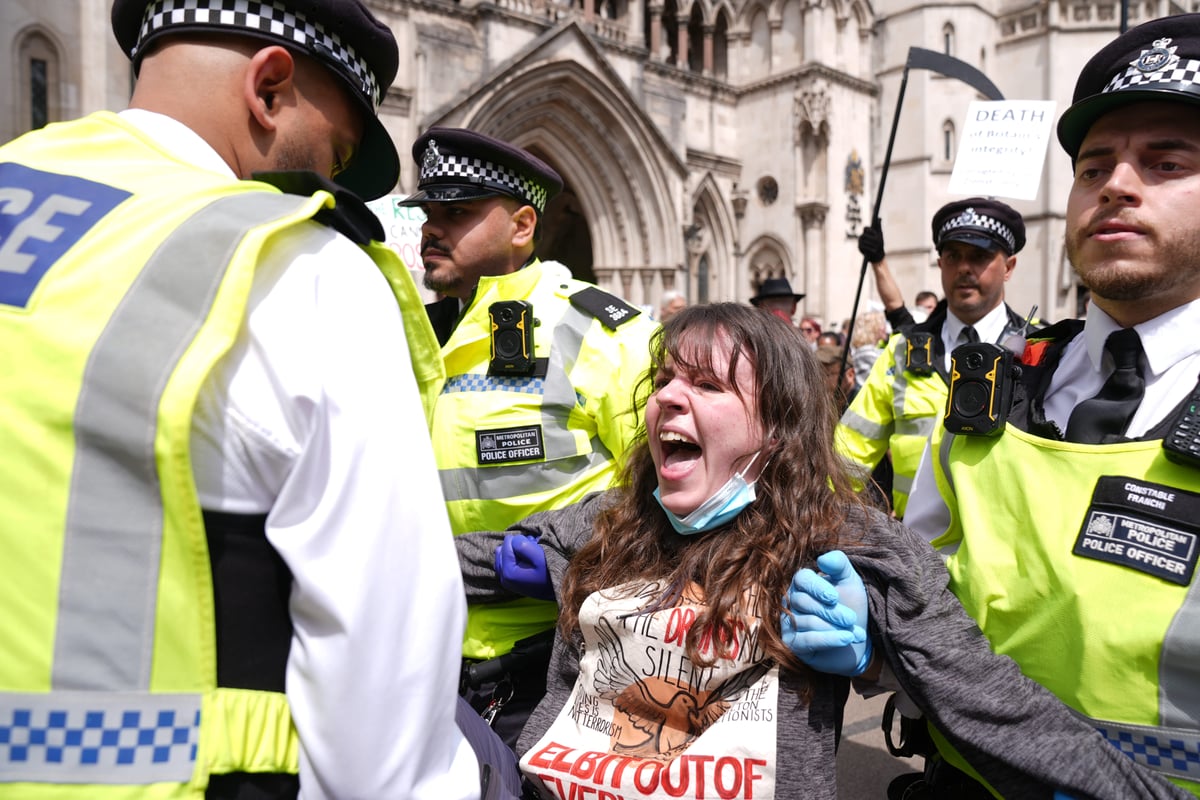 Court of Appeal’s Palestine Action ruling paves way for scores of ...