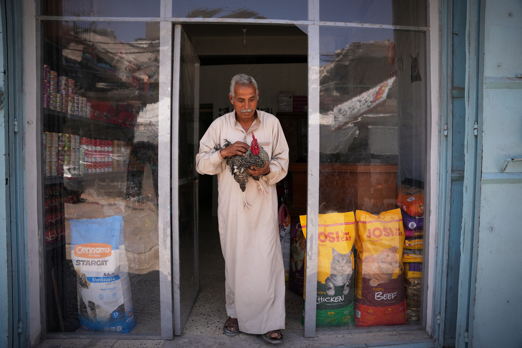 Photos of a rare veterinary clinic still open in war-battered Gaza