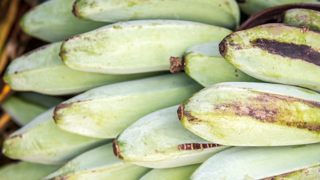 How banana ripeness changes nutrition and energy