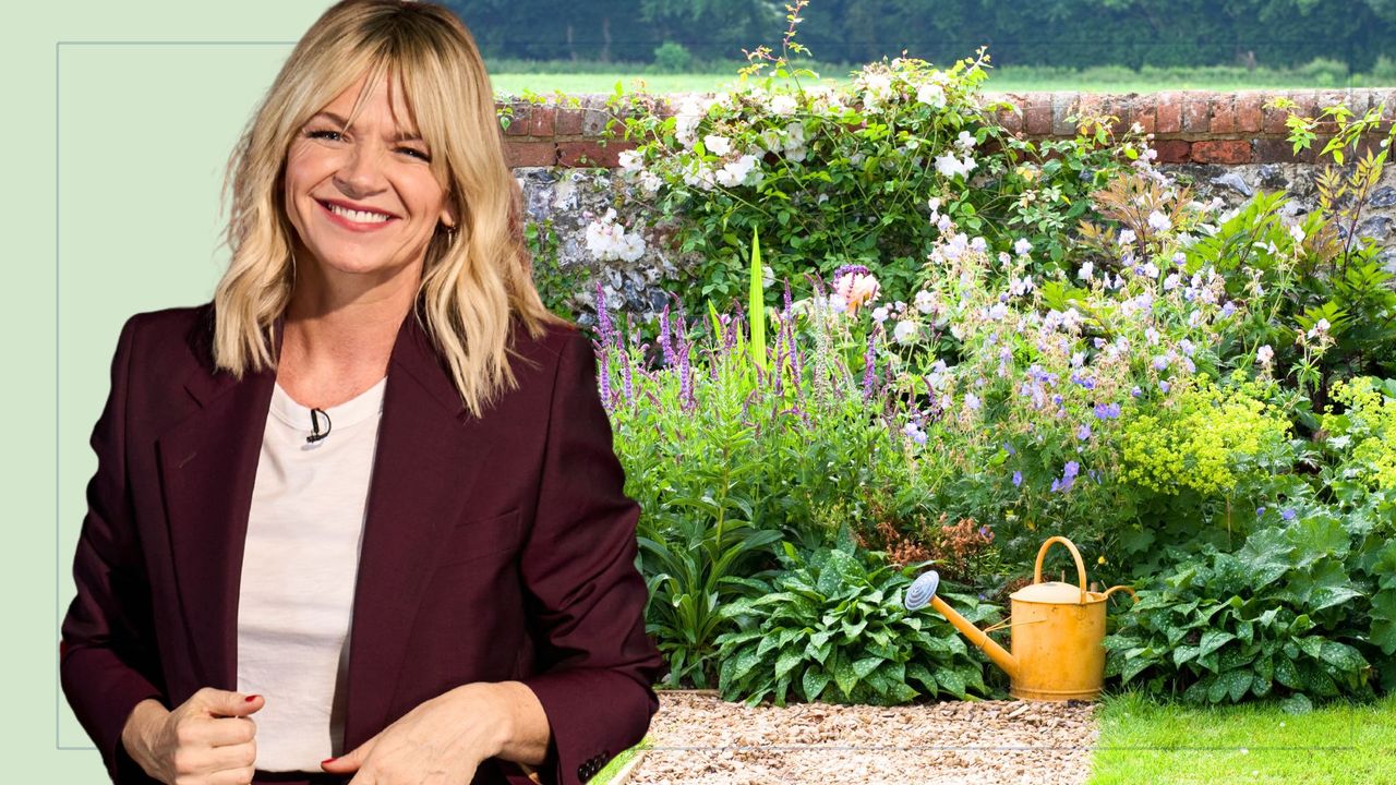 Zoe Ball's 'naturalistic' garden is proof that choosing native plants ...