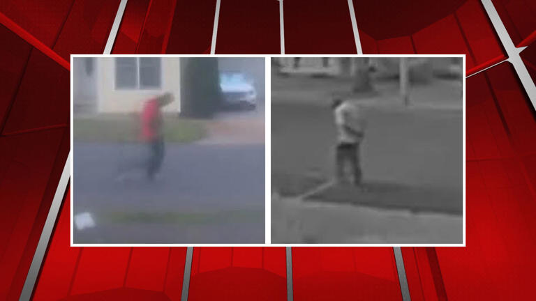 Person of interest sought in South Hadley vehicle break-in