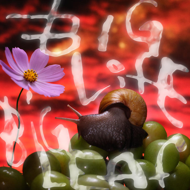 No Joy announces Big Life, Big Leaf EP, shares title track