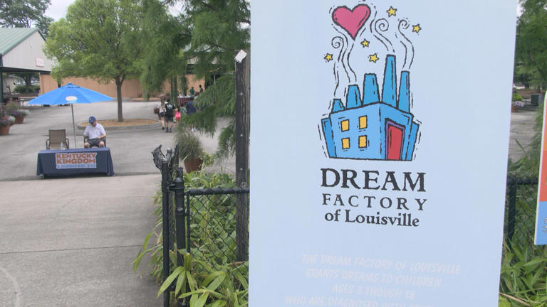 Dream Factory of Louisville hosts summer picnic at Kentucky Kingdom
