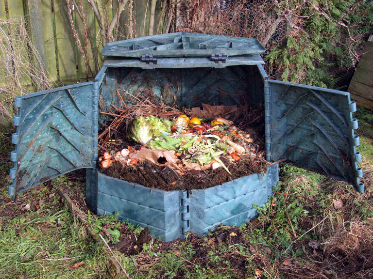 Never compost this kind of plant, gardeners warn—it can harm your ...