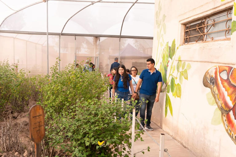 Mariposario de Cócorit registra en 2026 la mayor reproducción de ...