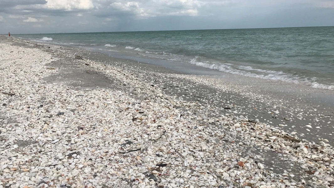 Sanibel Island’s shelling magic and coastal charm
