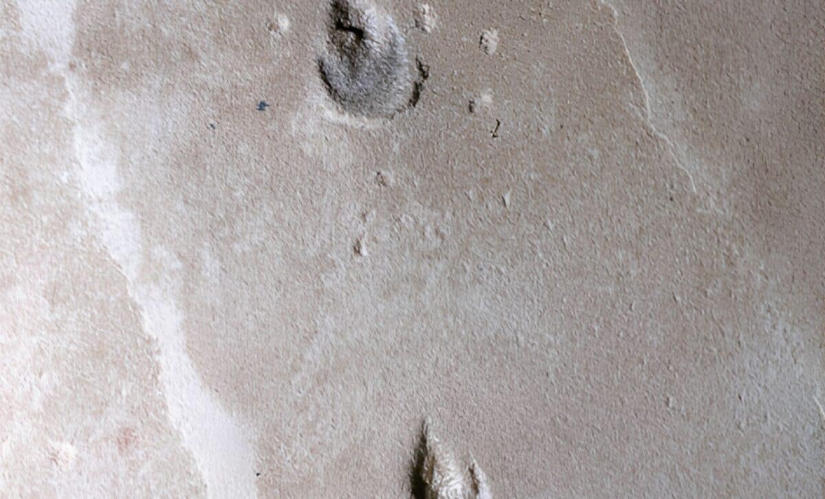 Hidden in Brazil’s ancient sands, 135-million-year-old footprints ...