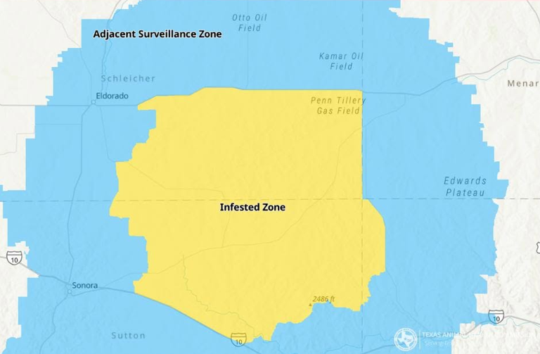 New world screwworm detected in 2nd Concho Valley county