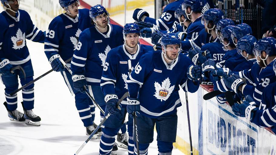 The next Maple Leafs coach could already be in the organization
