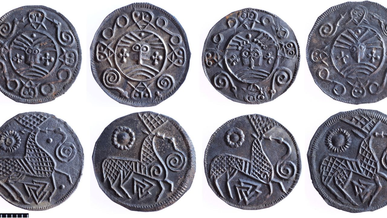 'Melted in a pot somewhere': Vikings used Islamic silver coins to make ...