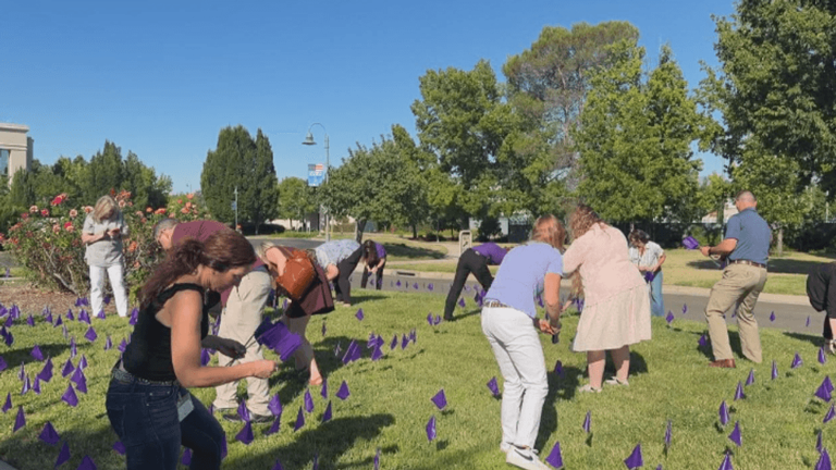 Shasta County agencies plant purple flags to spotlight elder abuse and ...