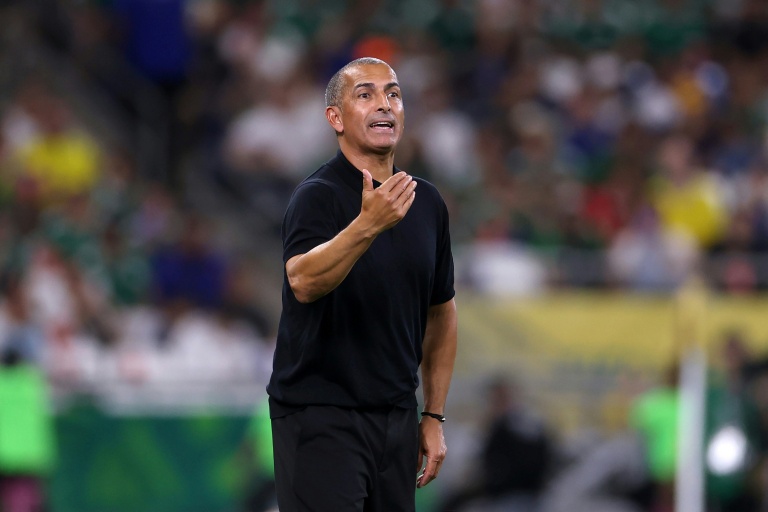 Tunisian football bosses mull firing Lamouchi after World Cup thrashing