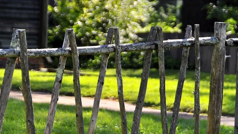 Wood fence styles that transform your backyard