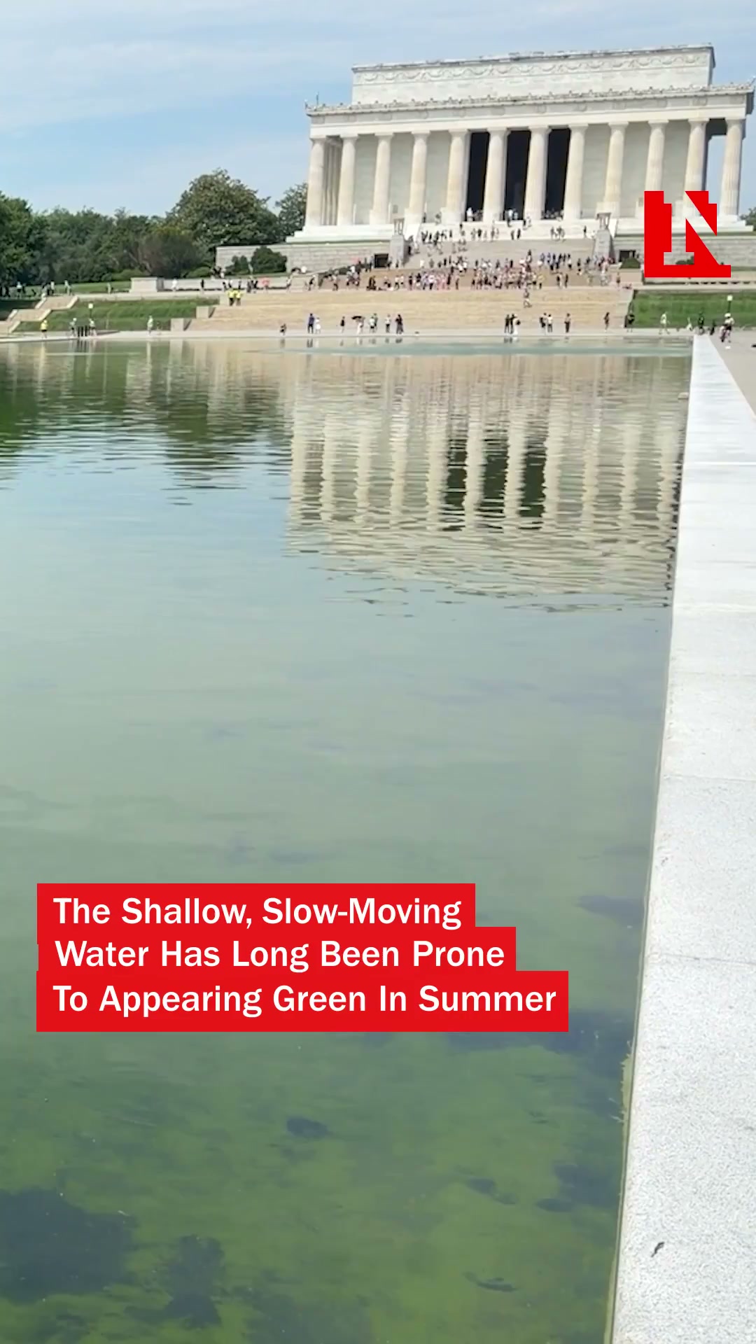 Lincoln Memorial reflecting pool is already green days after renovation