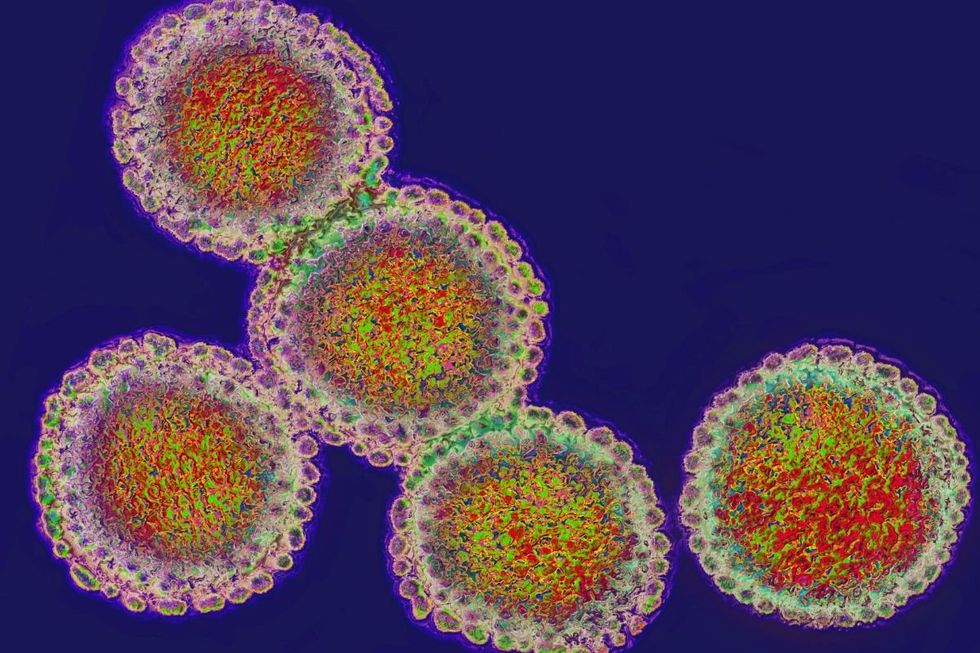 Pandemic odds top 25% as UKHSA flags respiratory infections as biggest ...