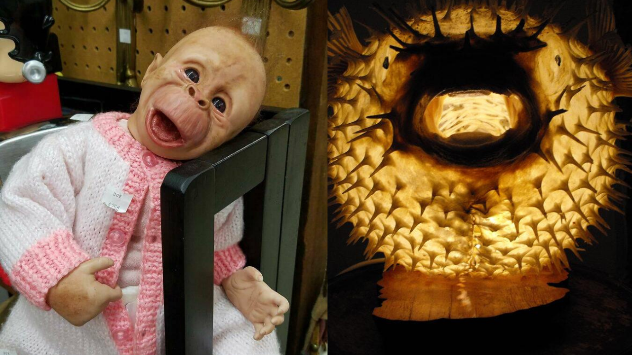30 thrift store finds so bizarre people had to share them online