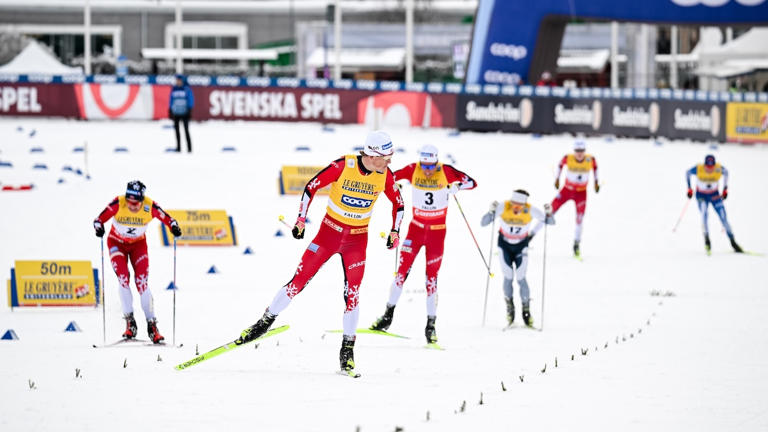 Harald Amundsen : « Je suis de plus en plus détruit