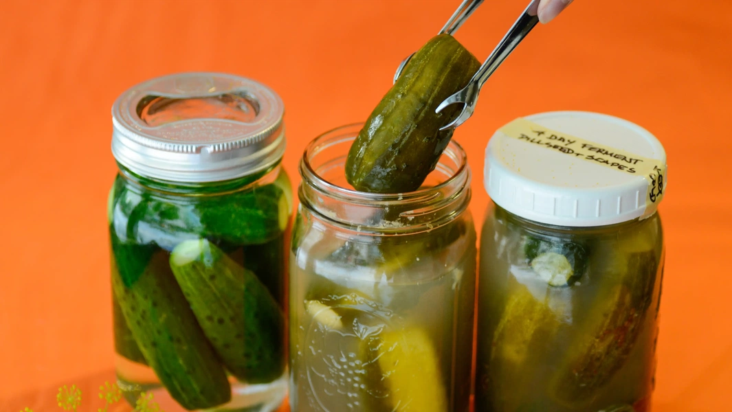 Fermented pickles for a happier gut