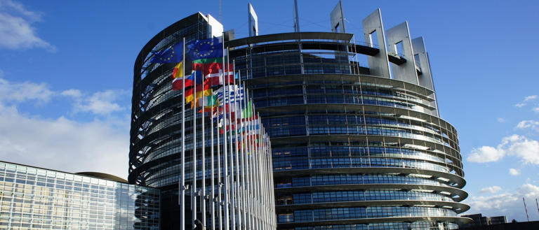 Dazi, rimpatri e tecniche genomiche per l’agricoltura: il Parlamento UE ...
