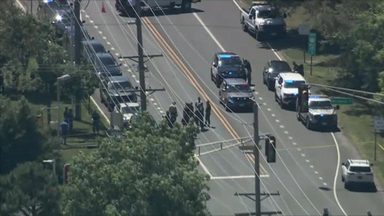 ICE agent fires shots after being hit by van in Stafford Twp., NJ ...