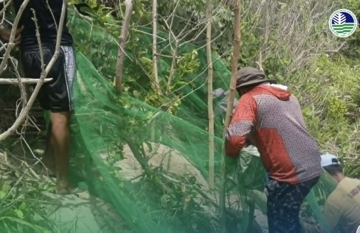 Sea turtle nesting site found in Batanes