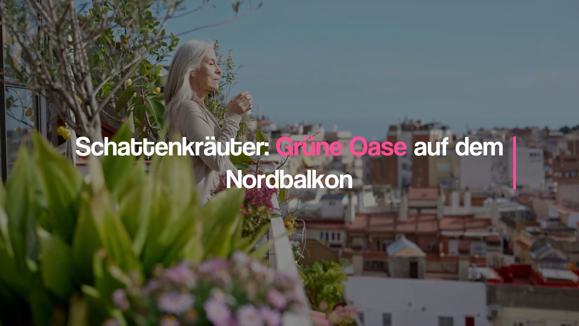 Dunkler Nordbalkon? Mit diesen Schattenkräutern wird er trotzdem zur ...