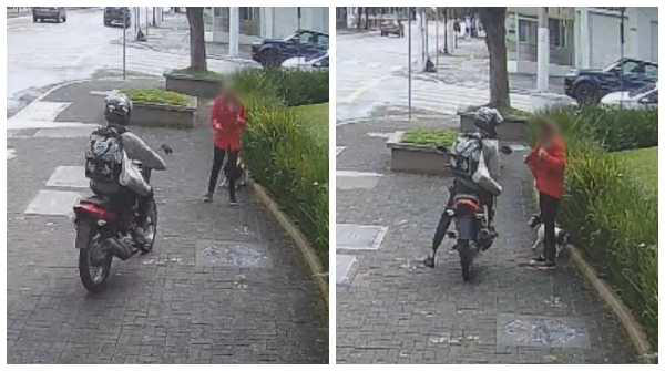 Vídeo: mulher é assaltada enquanto passeava com cachorro na Berrini, na ...