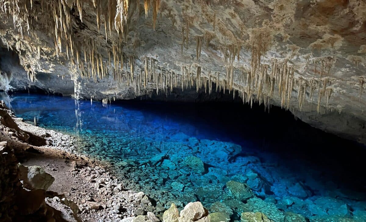 Scientists thought these 540-million-year-old fossils were early animal ...