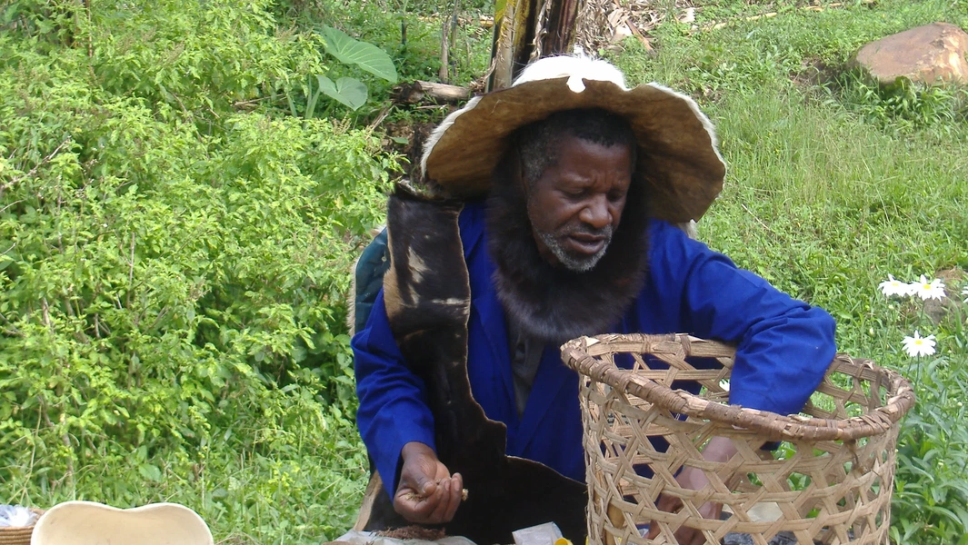 Medicinal plants bridging tradition and science