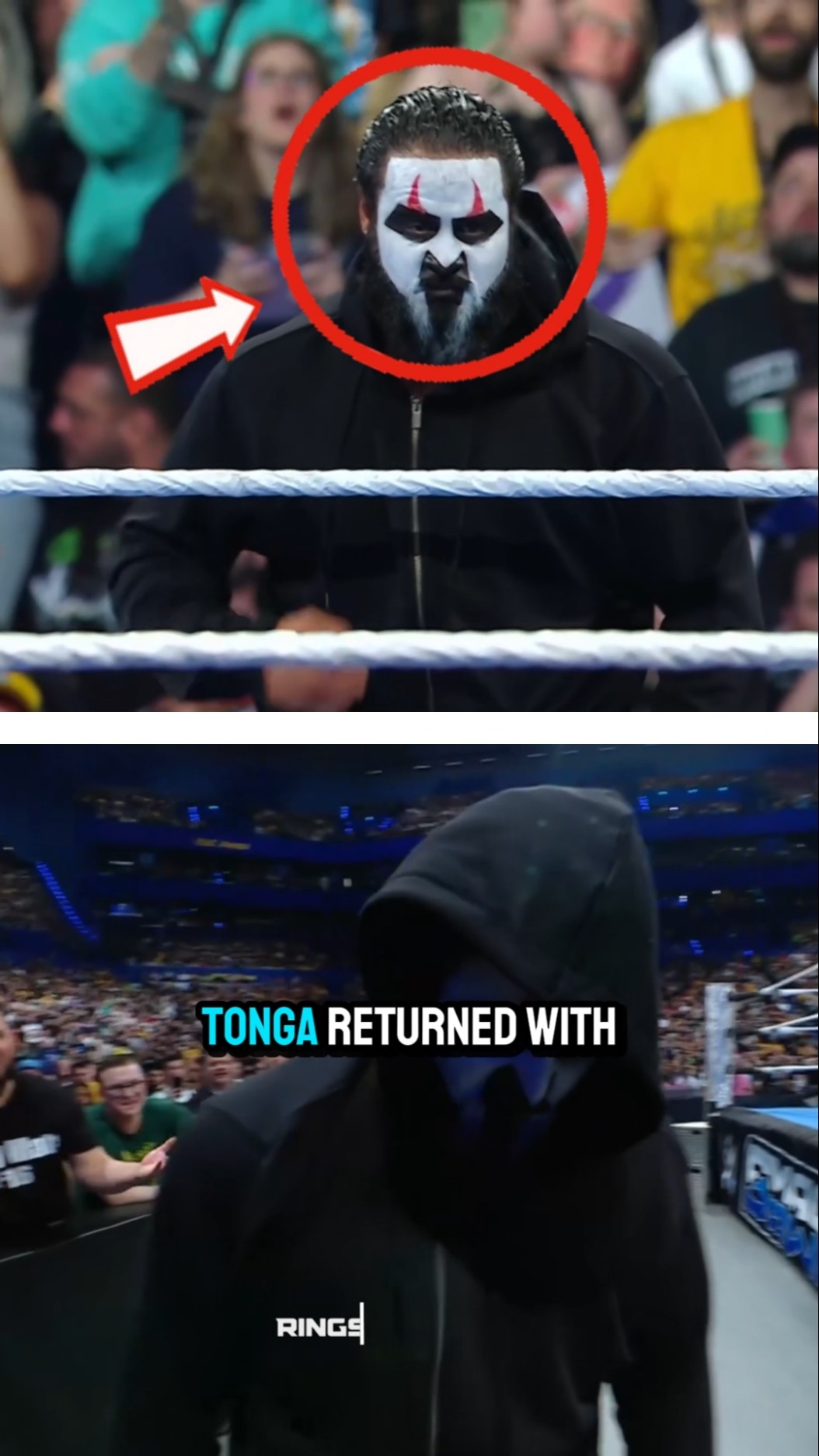 TAMA TONGA Retuned with a Stunning New Look!