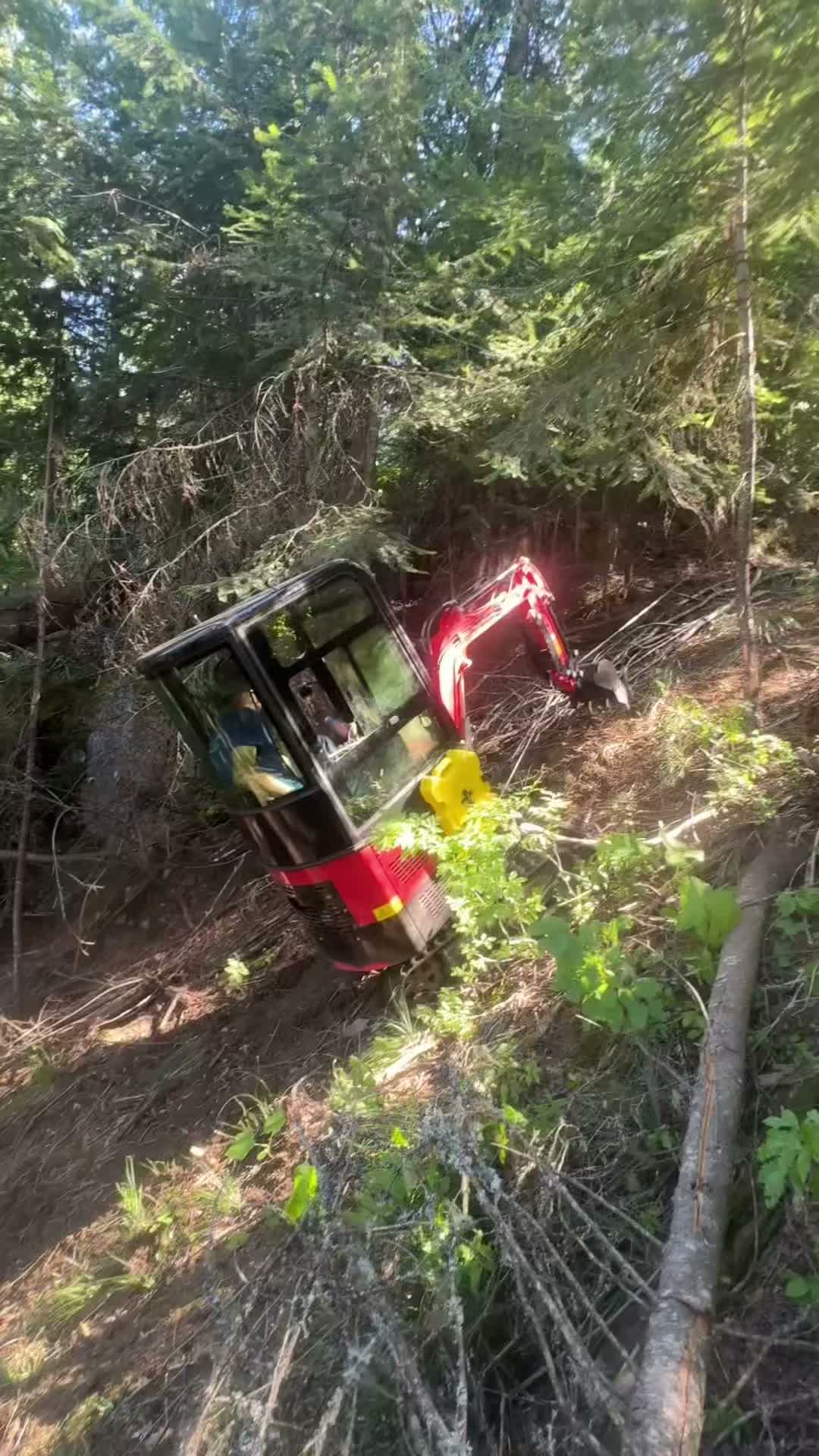 Expedition Temu didn’t go as planned