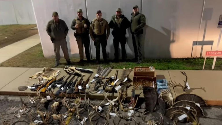 Plea agreement reached after 140 hunting violations presented against ...