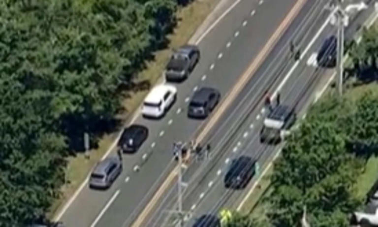 Car rams into ICE agent and flees as gunshots are fired in wild New ...