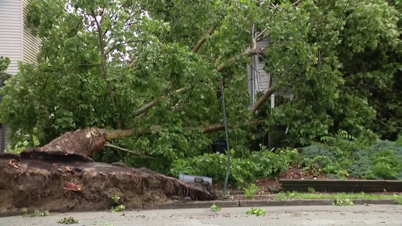 Massive trees crash into homes during storm in Ambridge, Pennsylvania