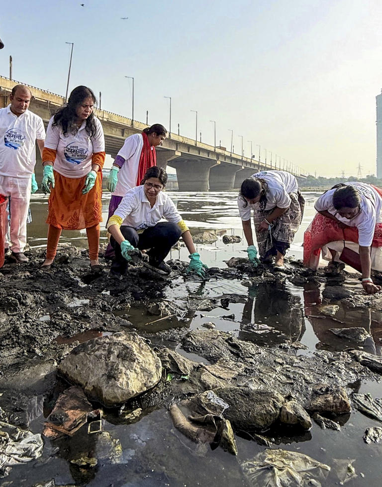 116 metric tonnes of waste removed from Yamuna ghats in Delhi: Water ...