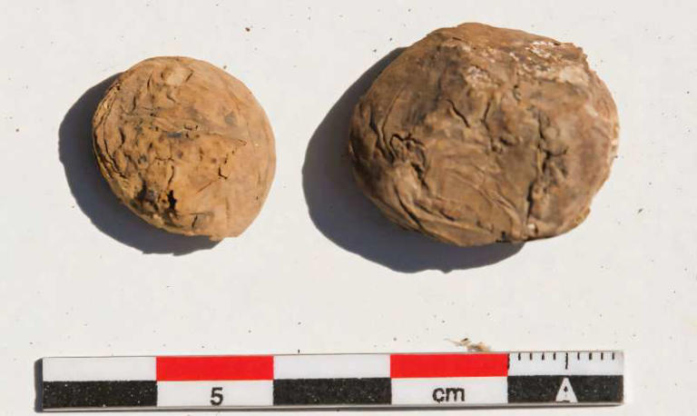 Archaeologists stunned after uncovering 500-year-old potatoes hidden ...