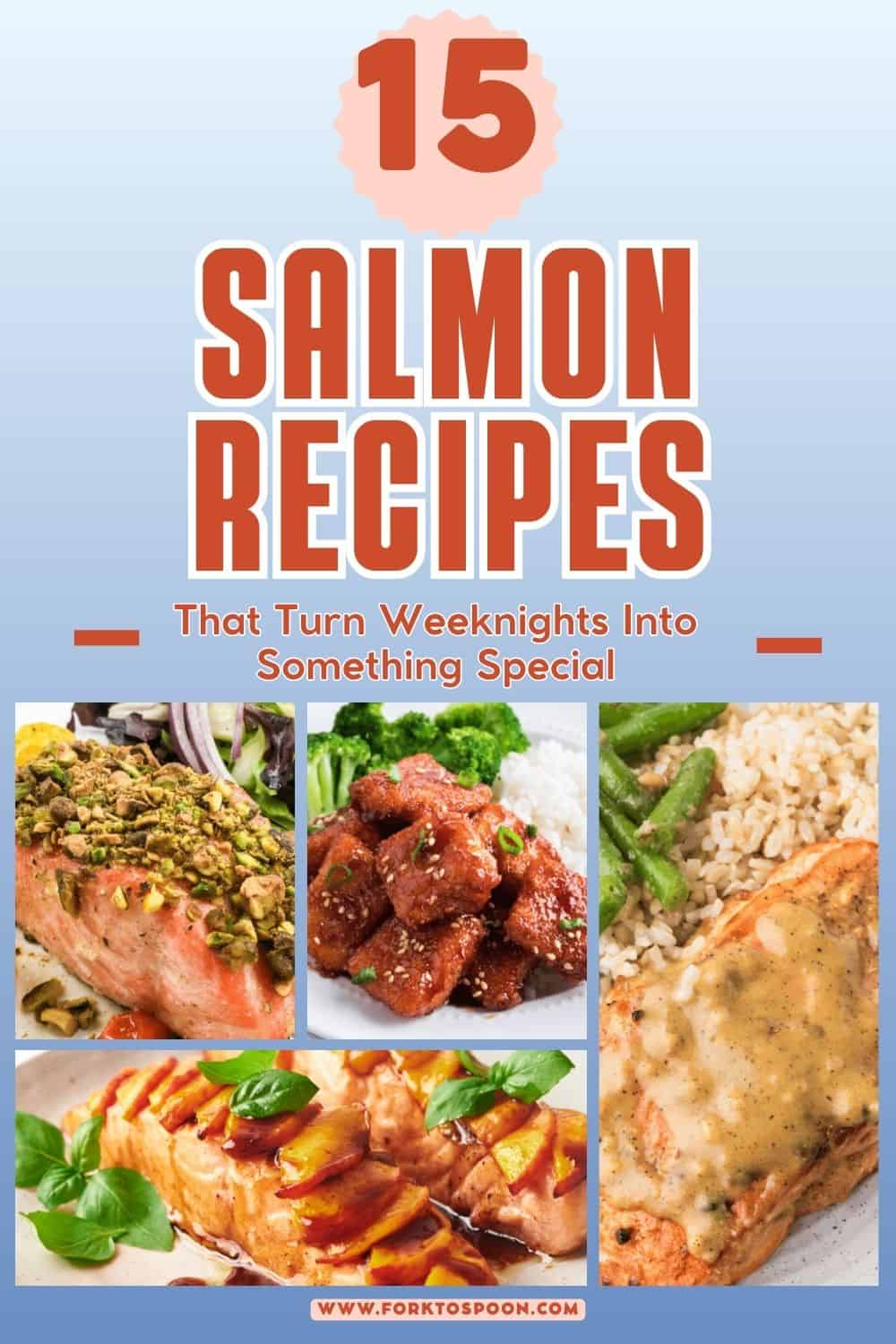 15 salmon recipes that make dinner feel fancy without trying