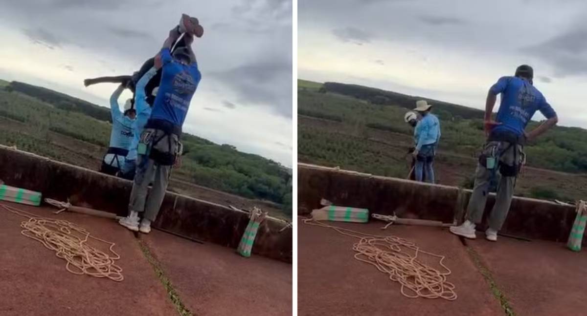 Enfermeira que ia pular de rope jump tentou prestar socorro à jovem ...