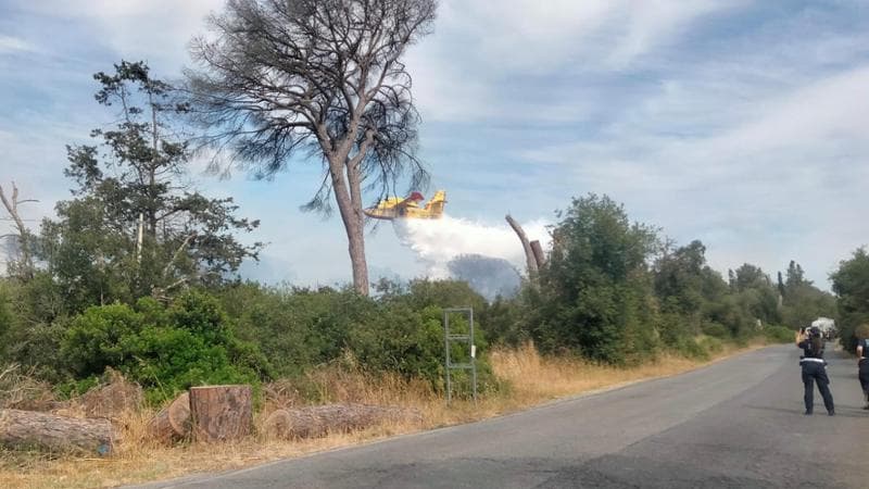 Incendio nella pineta di Castelfusano, le fiamme lambiscono le villette ...