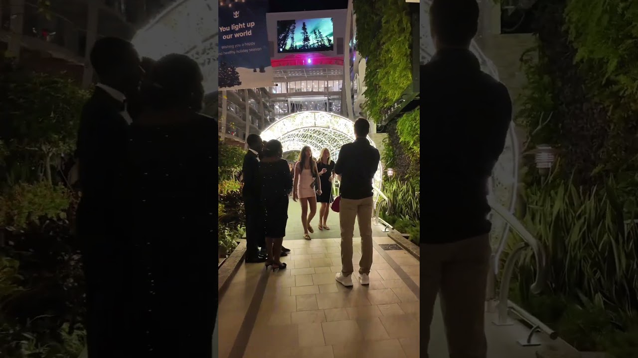 This area comes to life at night | Wonder of the Seas