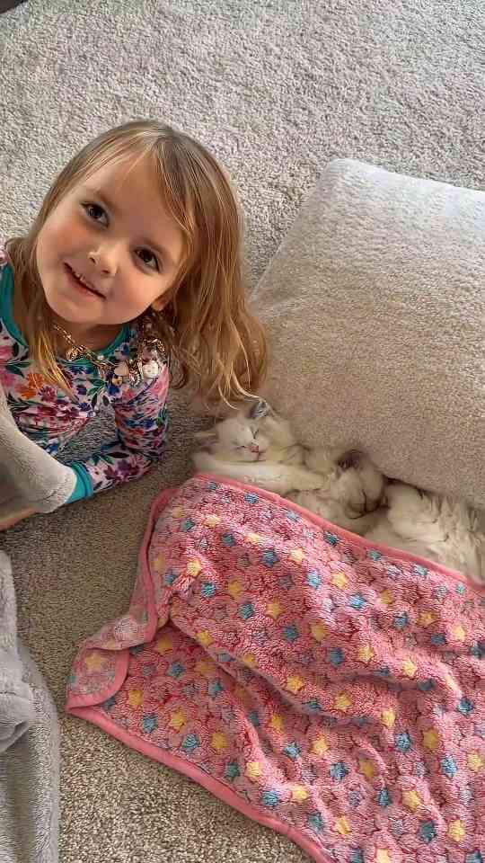 Blossom tries to cuddle with the kittens