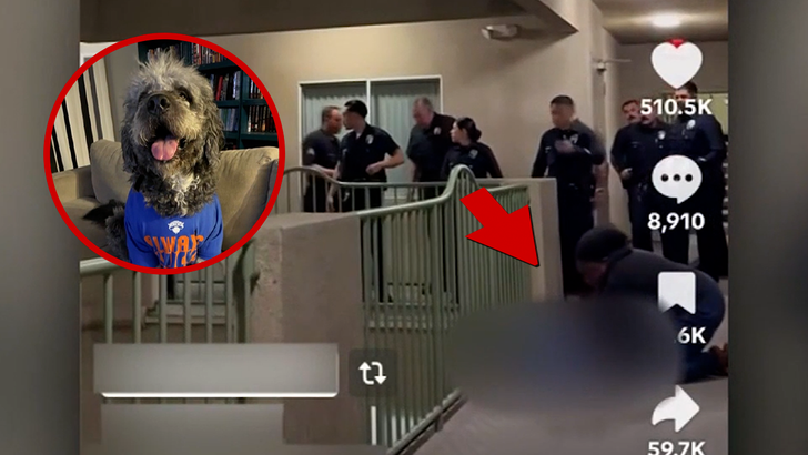 LAPD hasn't apologized for fatally shooting Knicks fan's dog, family claims