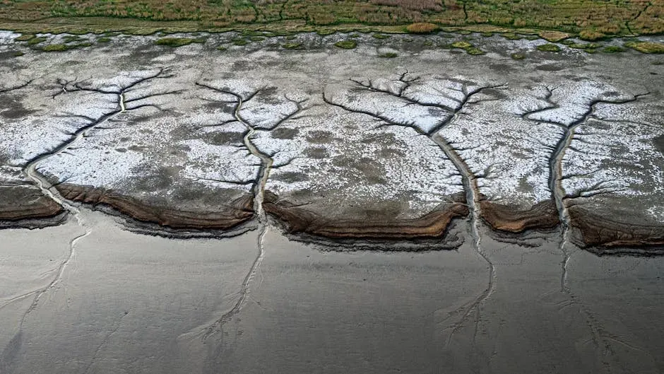 How seasonal storms are reshaping coastal wildlife habitats