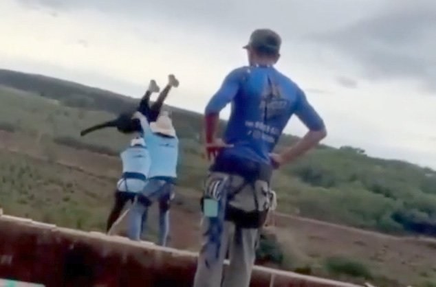 Bungee workers 'can't remember' who was meant to attach safety cord ...