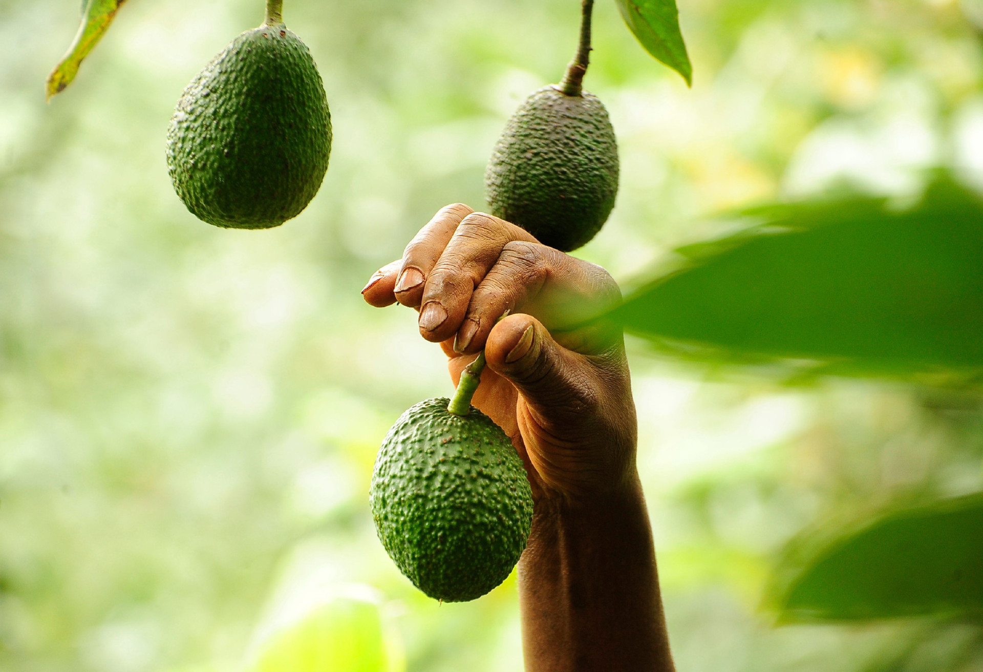 These foods help fight stress, anxiety, and depression