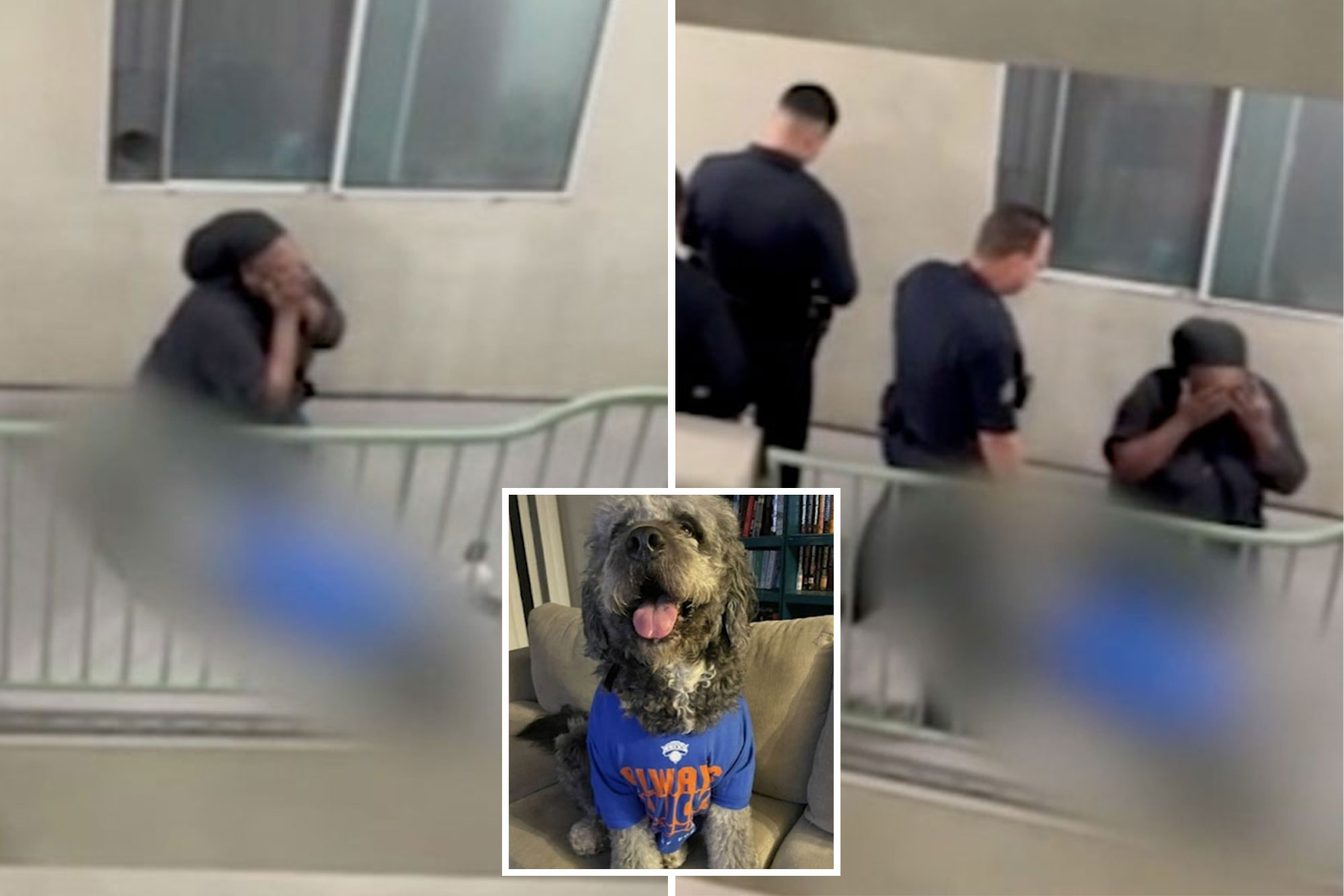 Knicks’ watch party horror as family dog is shot by cops – as harrowing ...